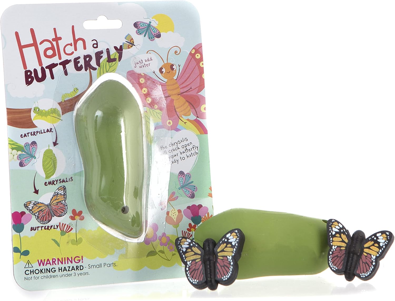 Boxer Gifts Hatch A Butterfly – The Toy Folks