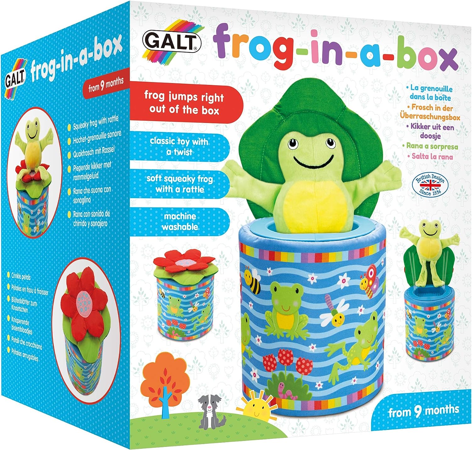 Galt Frog-in-a-Box – The Toy Folks