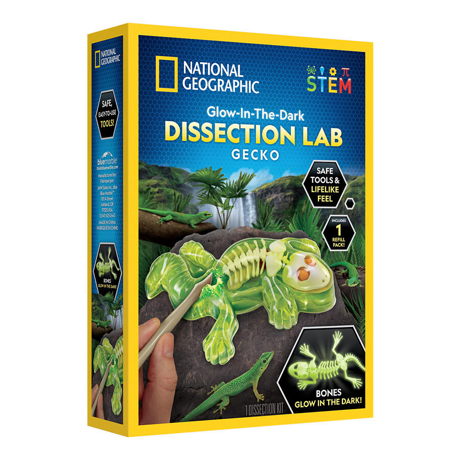 National Geographic Gecko Dissection Lab – The Toy Folks